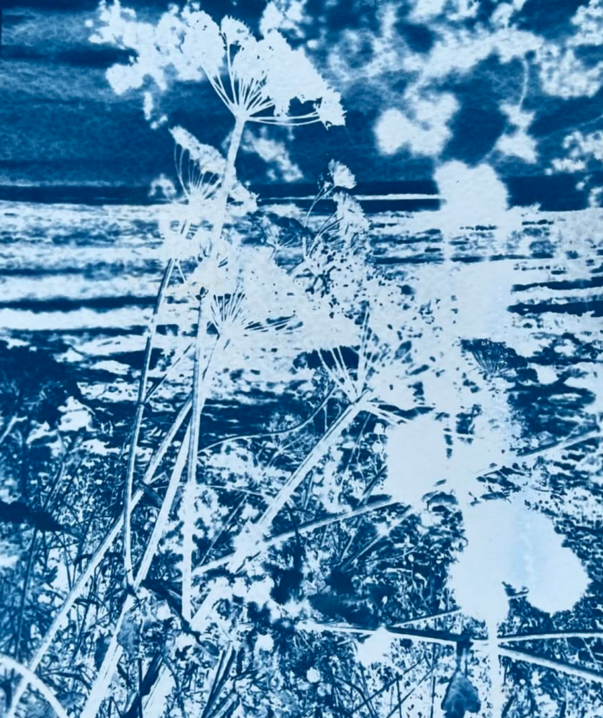INTRODUCTION TO CYANOTYPE WITH ANNA DAVIS - MADE in East Lothian CIC